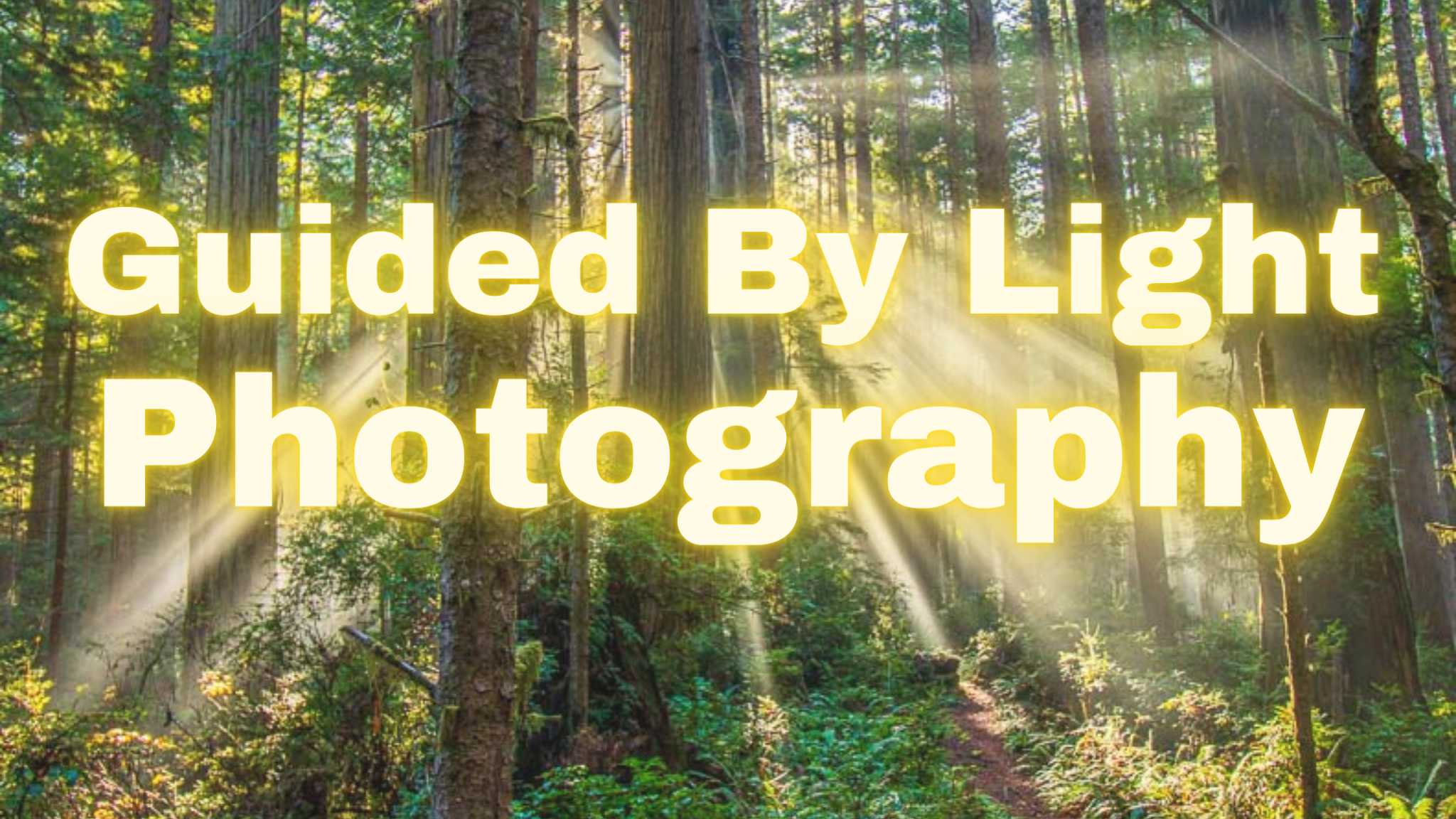 Guided by Light Photography – The beauty of nature, in photos